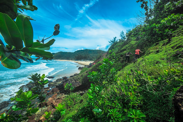 The Scintillating secret beach trek of Ramanagindi