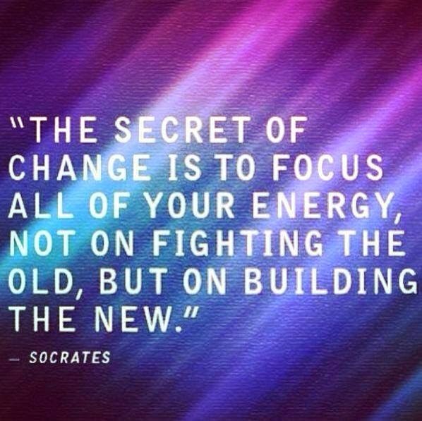 THE SECRET OF CHANGE IS TO FOCUS ALL YOUR ENERGY NOT ON FIGHTING THE ...