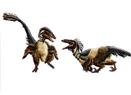 Mundo dinossauro: Achillobator