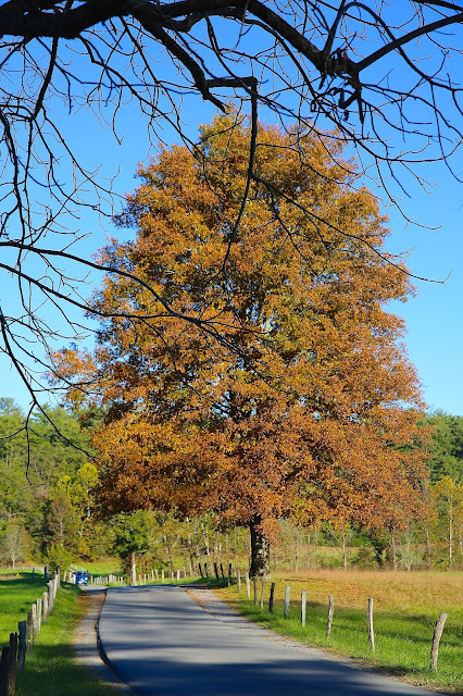 Sweet Southern Days: Parson Branch Road In The Great Smoky Mountains ...