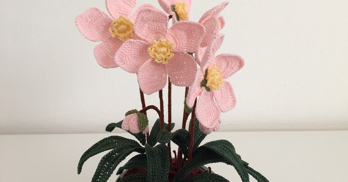 How to crochet a Christmas Rose Helleborus