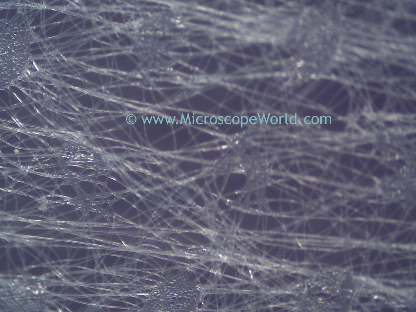 Microscope World Blog: Polymers Under the Microscope