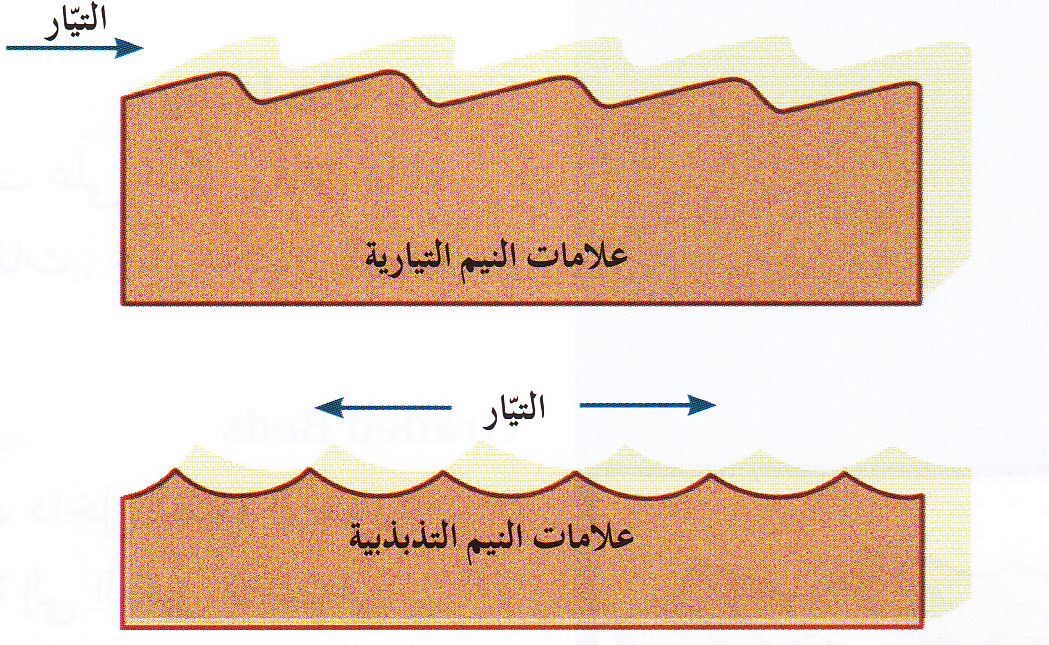 التراكيب الرسوبية: التراكيب الاولية للصخور الرسوبي