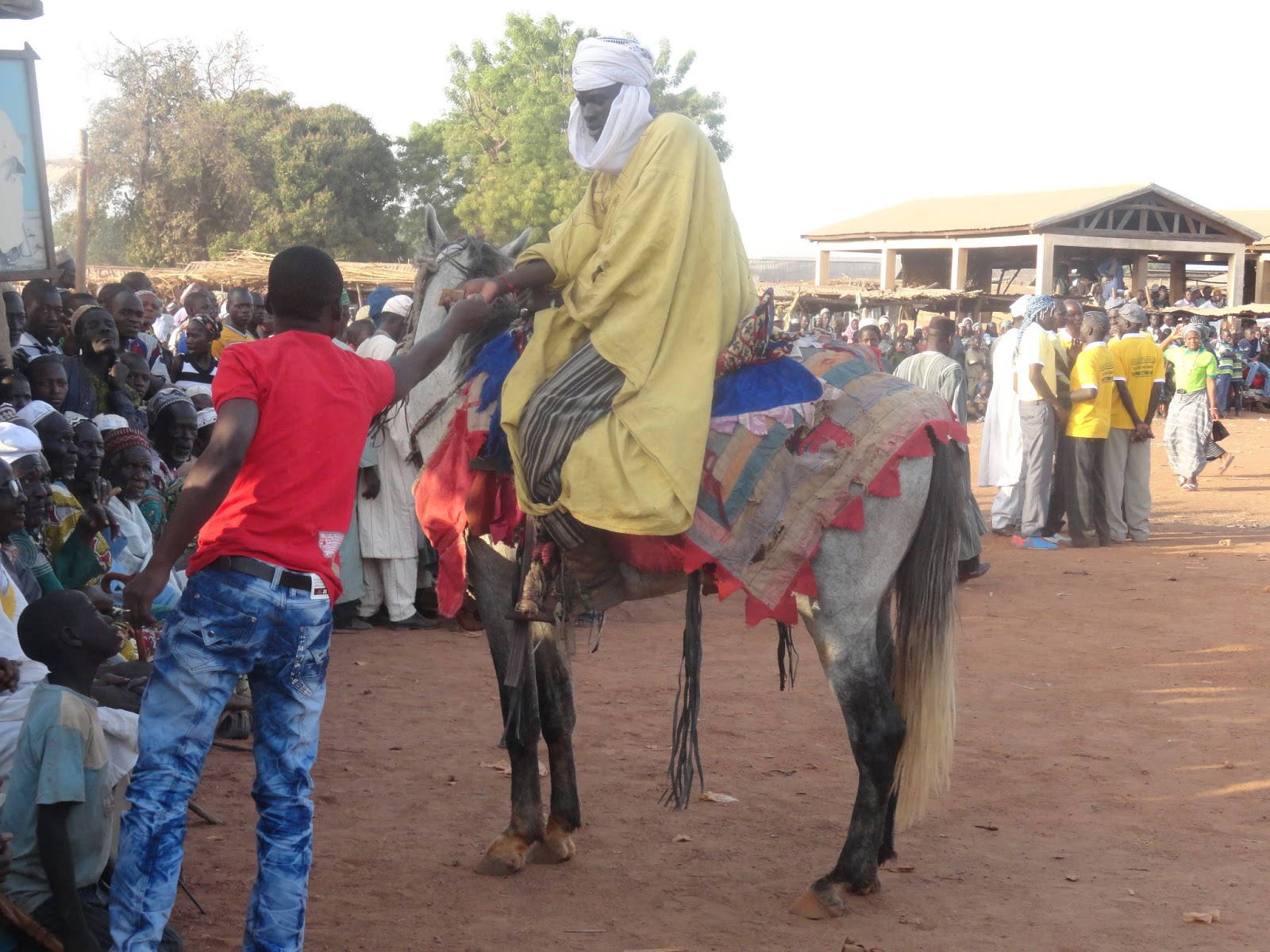 Two Years as a Yovo: Gaani Fete: A Bariba Horse Festival