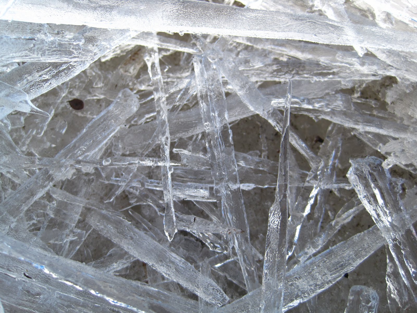 Flying J's: ᐱᖃᓗᔭᖅ - piqalujaq - iceberg