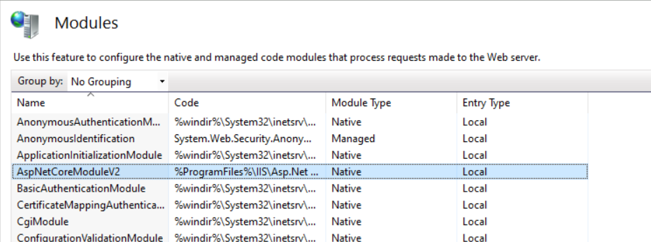 Hosting api locally on IIS for development