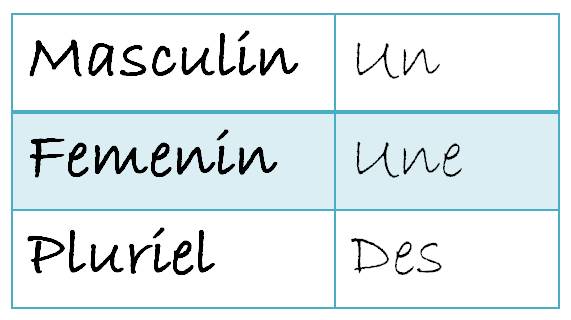 Mon introduction au Français: Les articles définis et indéfinis