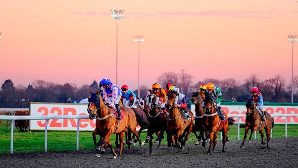 DAISY SAYS MOOO!: KEMPTON PARK HORSE RACING 2021 - MEETING #15 ...