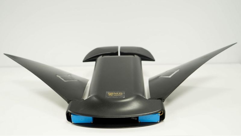Tecnoneo: El robot Manta se desliza por el agua como un pez Tecnoneo: El robot Manta se desliza por el agua como un pez