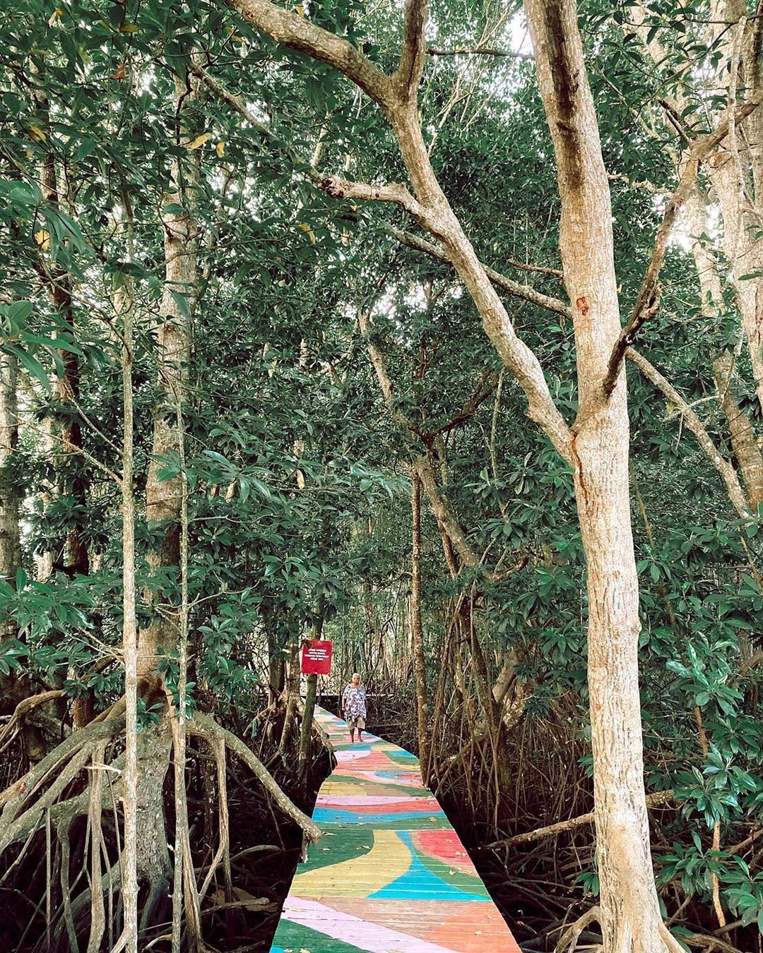 Pitas Bay View Sabah Malaysian Borneo (36 Photos)
