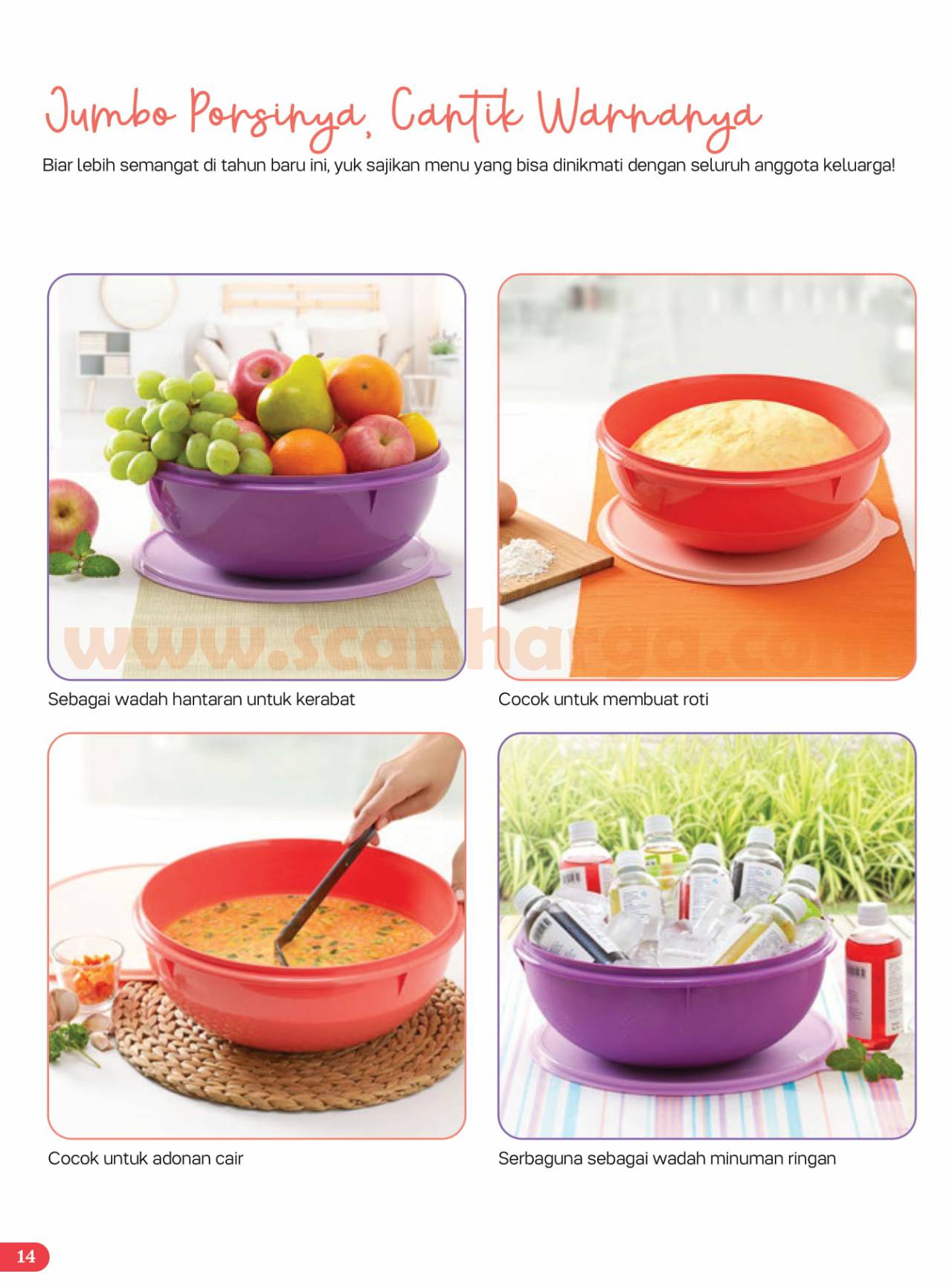 Katalog Tupperware Brosur Promo Januari 2021 | scanharga