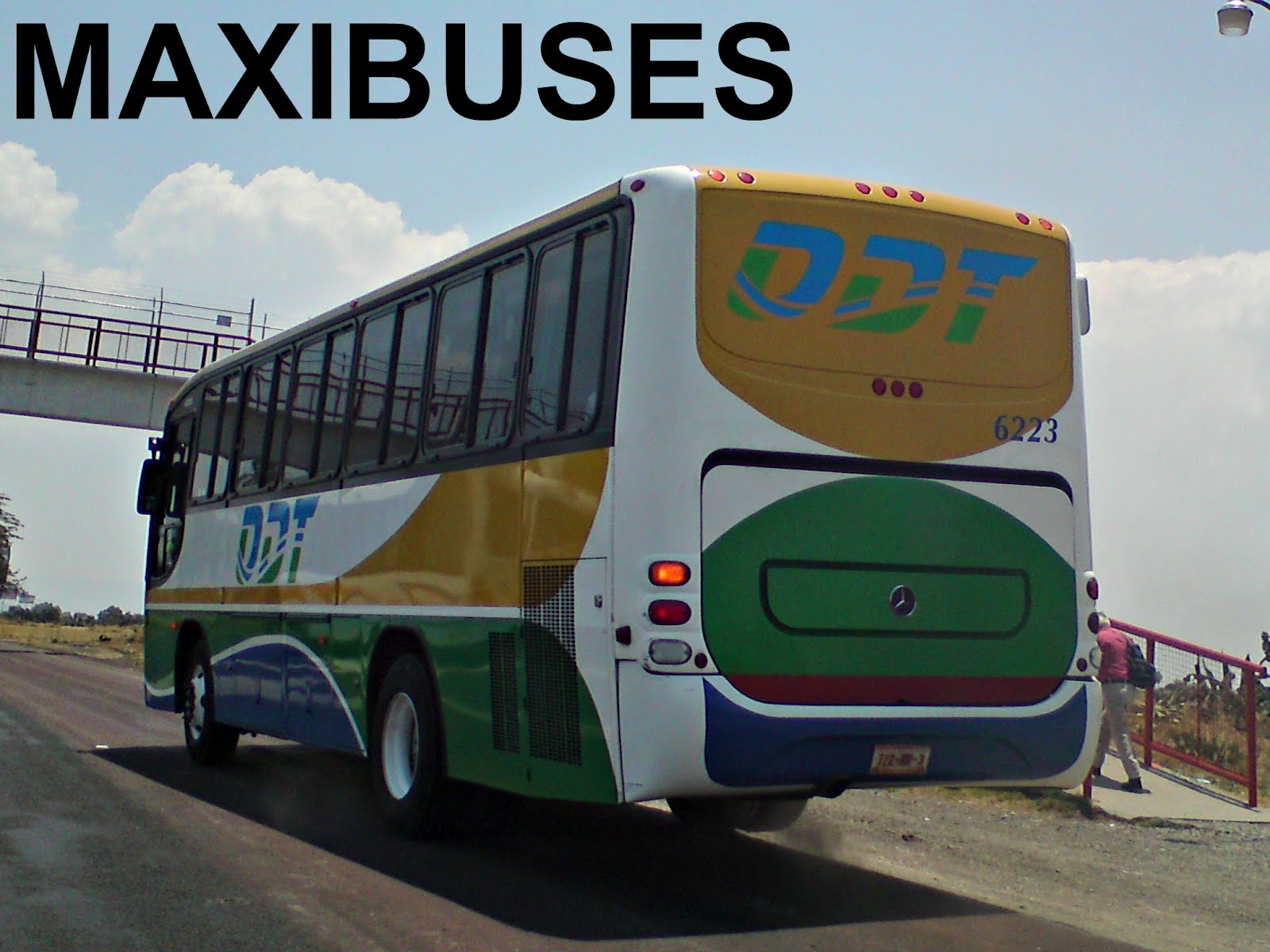 MAXIBUSES: OMNIBUS DE TIZAYUCA - ODT