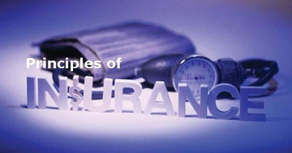 Basic Principles of Insurance-7 Basic General Insurance Principles ...
