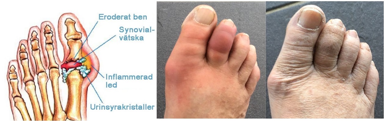 Elisabeths Blogg: 2019