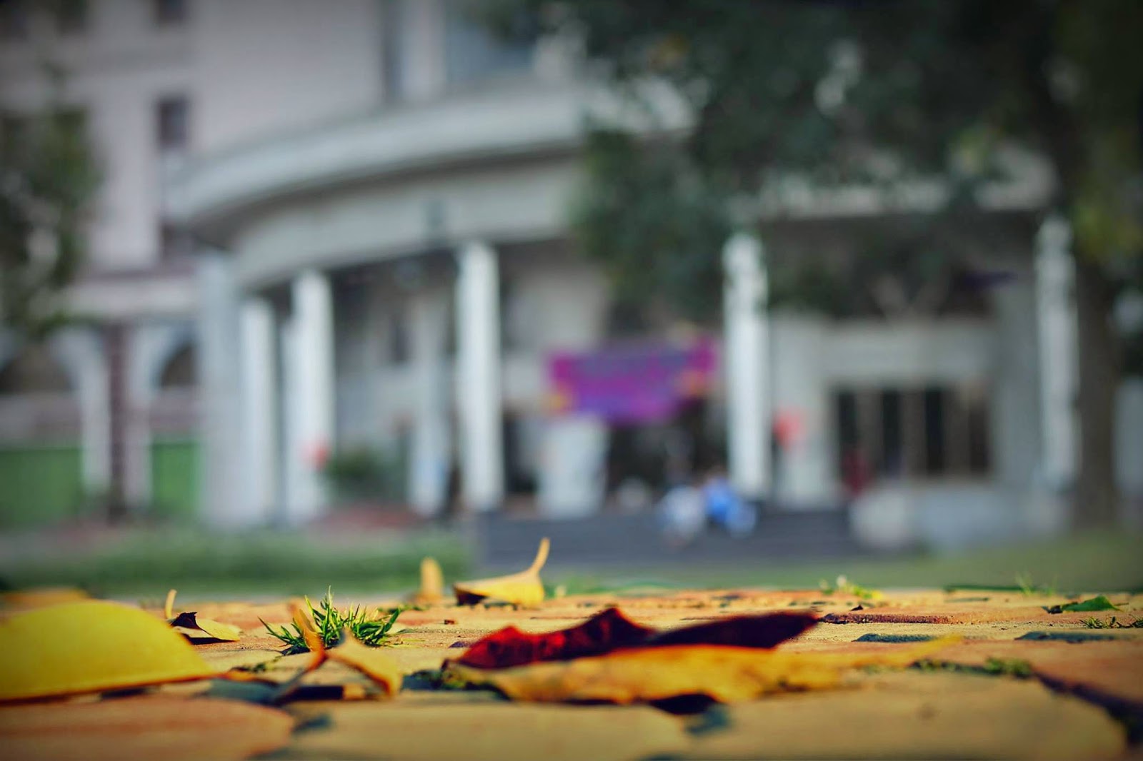 Services Institute of Medical Sciences, Lahore, Pakistan Beautiful ...