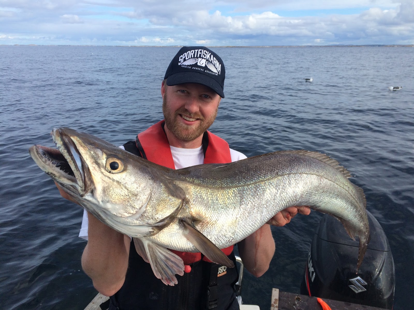 Team Isola: Fiskeåret 2015 (K-R)