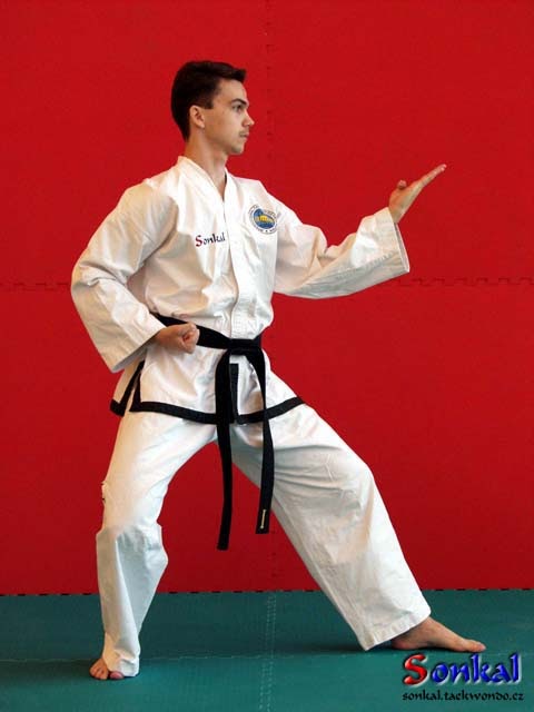 Soo Shim Kwan 水心館수심관: Thoughts on Hard Blocks in ITF Taekwon-Do
