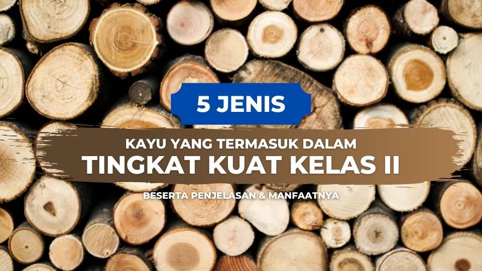5 Jenis Kayu Kelas II Berdasarkan Tingkat Kuatnya - Toko Lantai Kayu