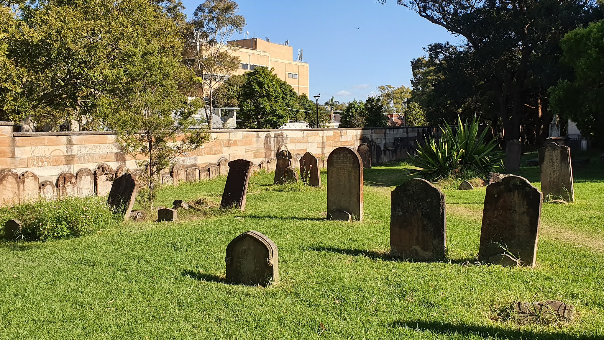 Sydney - City and Suburbs: Newtown, Camperdown Cemetery