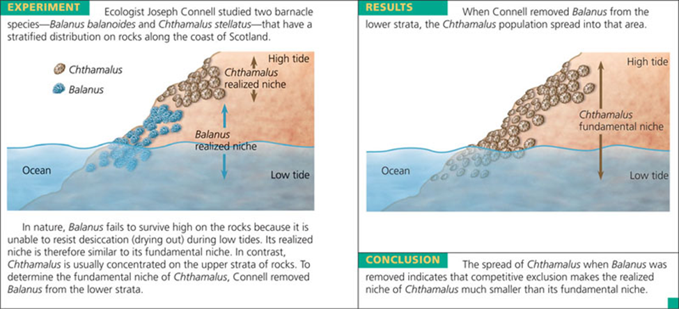 Bioteknologi: RELUNG EKOLOGI