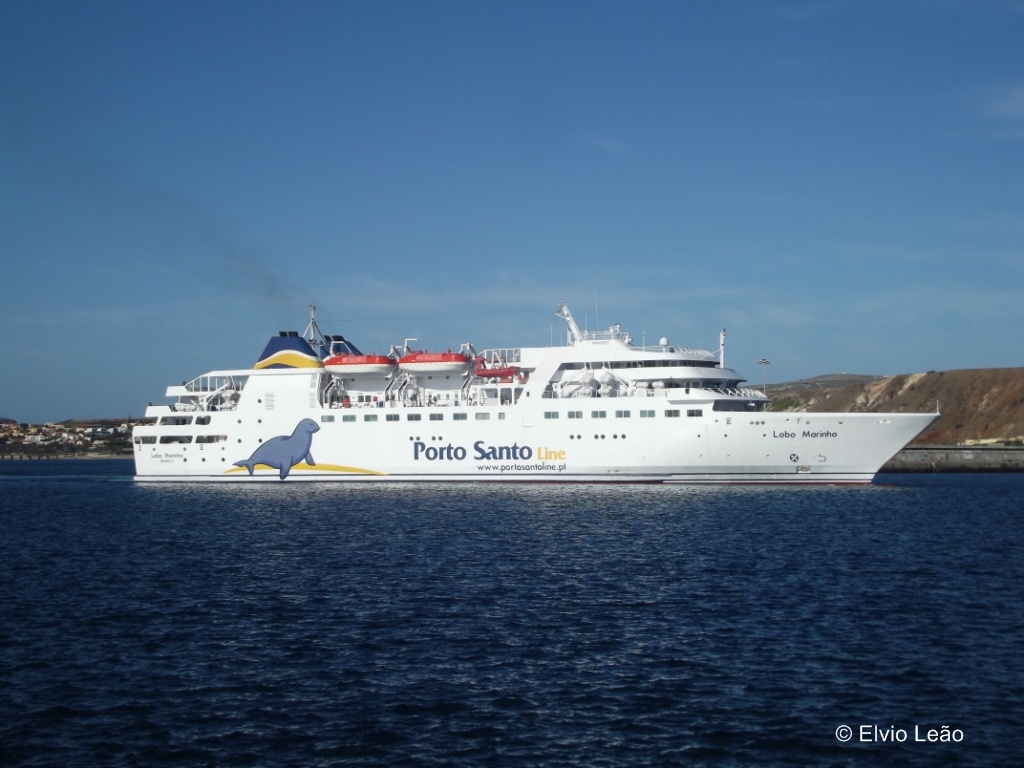 mar do porto santo: Lobo Marinho depois da reparação