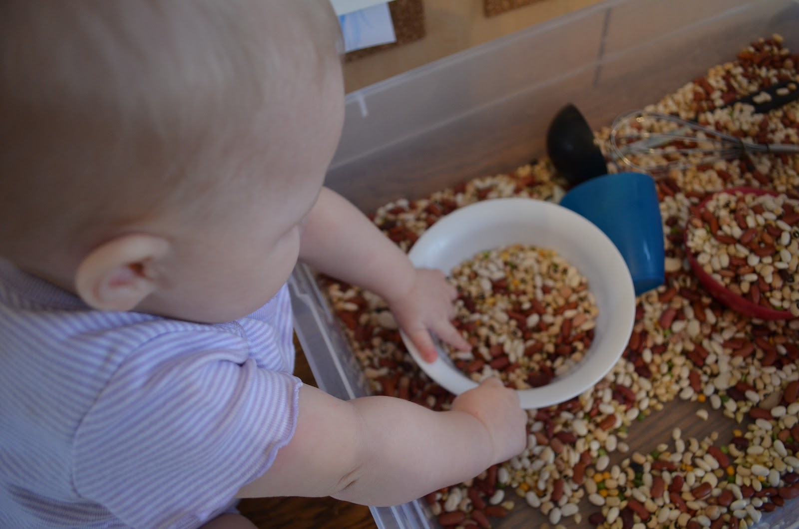 Play to Learn and Live to Play: Bean Sensory Bin