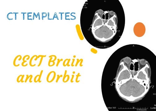 CECT Scan of the Brain and Orbit - RME