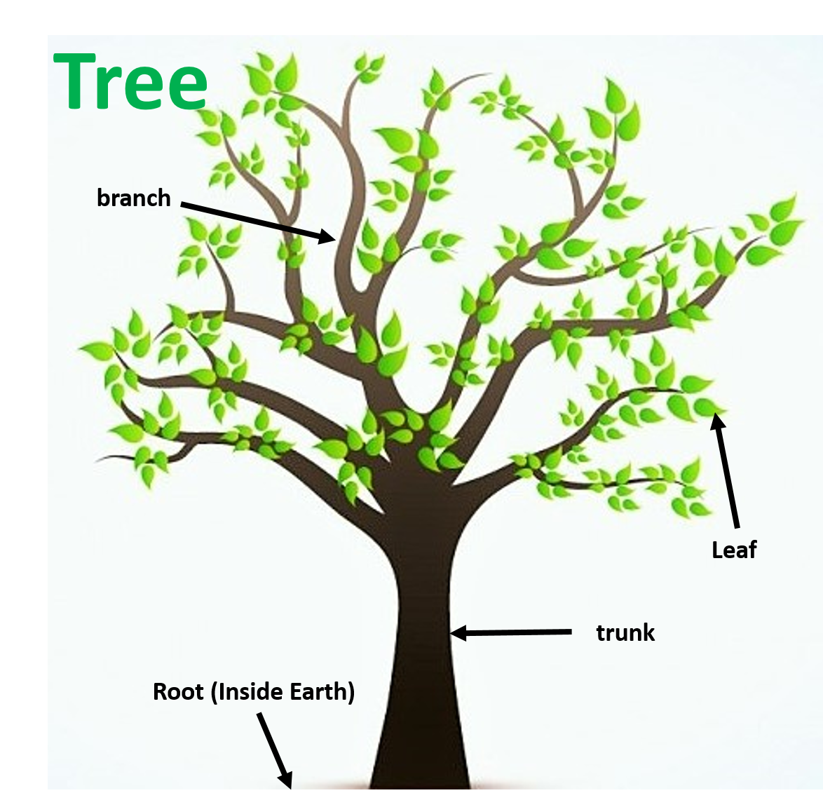 எல்லாம் அவர் செயல் Tree Adt Introduction