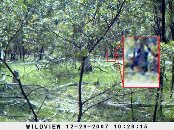 10 Legendary Monsters of Australasia and Antarctica | Mental Floss