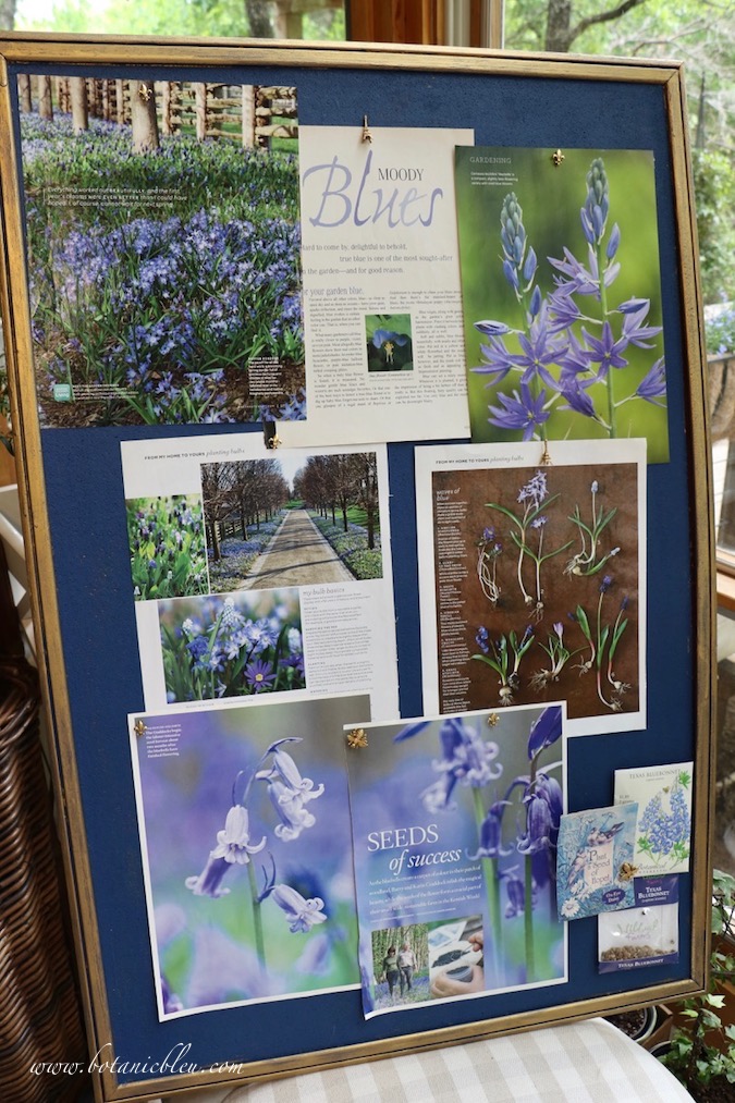 Botanic Bleu: Bulletin Board Inspiration No. 2 | Moody Blue Flowers