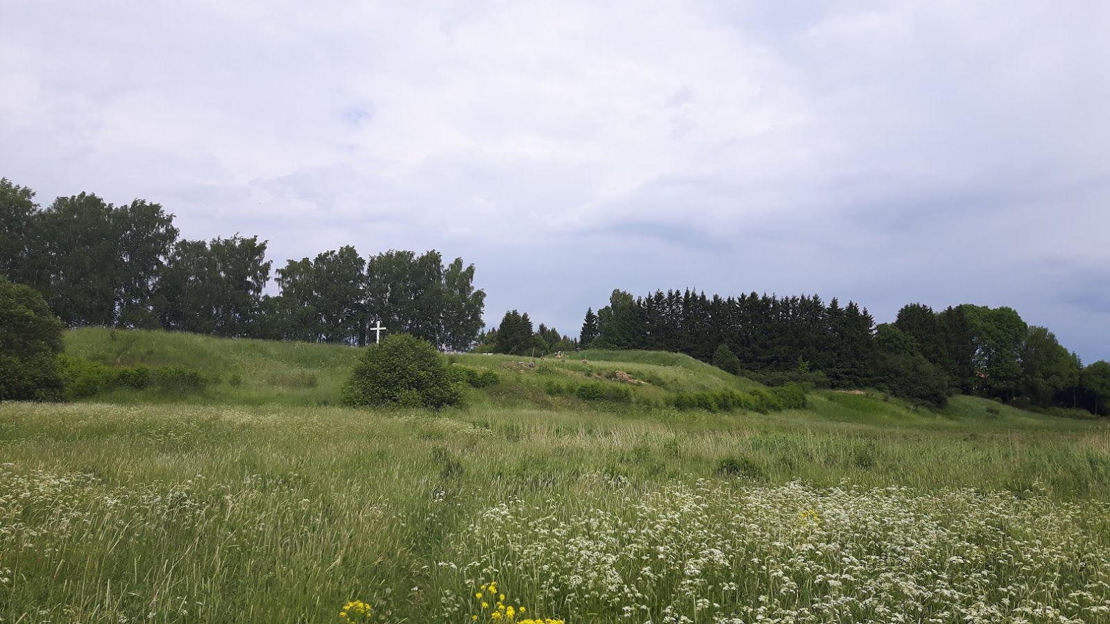 Perustettiinko Turku 1229 Uusi Suomi Vapaavuoro