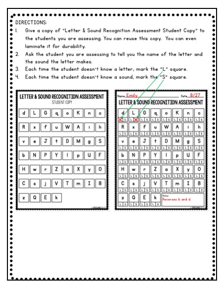 Emily Jane Creates: LETTER AND SOUND RECOGNITION ASSESSMENT-FREEBIE!!