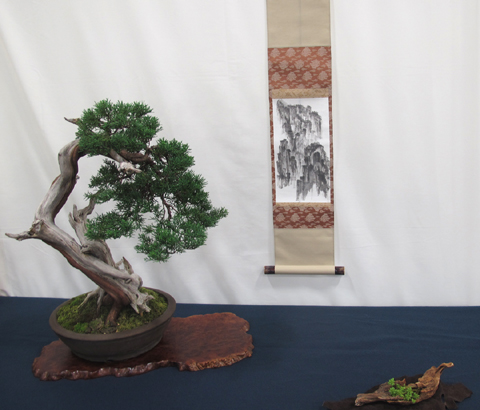Wall Scroll or Kakejiku: Wallscroll Made for Bonsai Artist