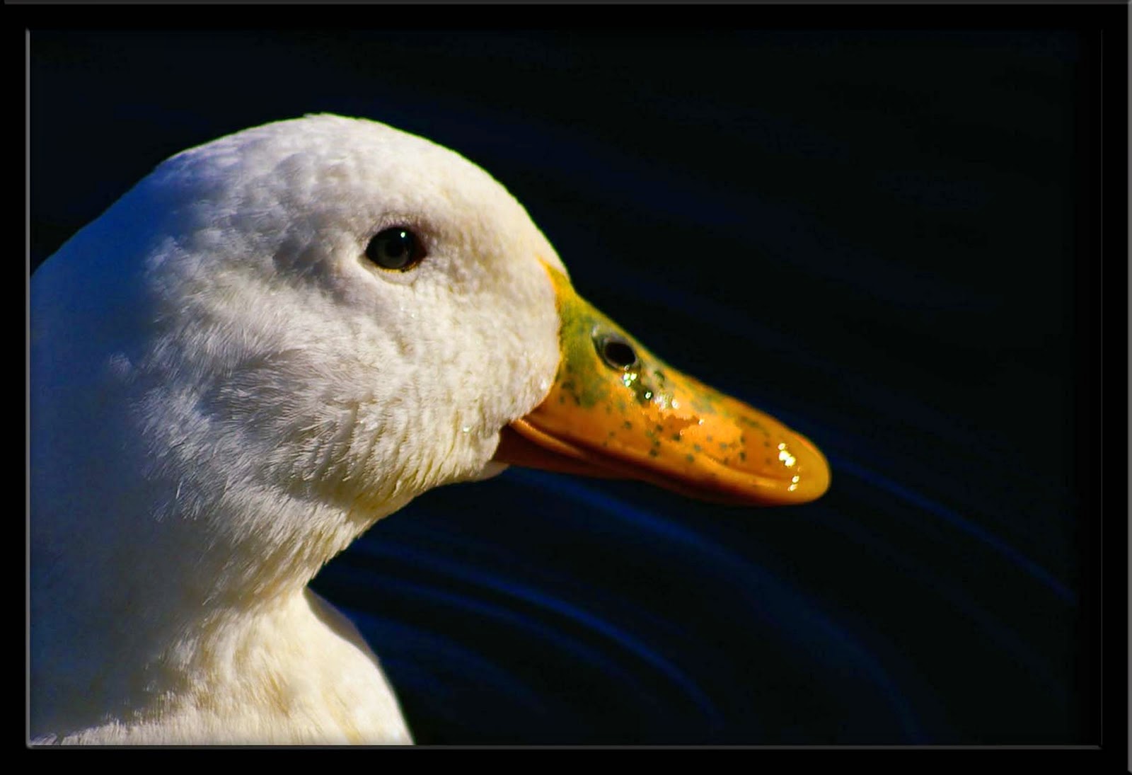 DJ's blog: Visual Center of Interest research example