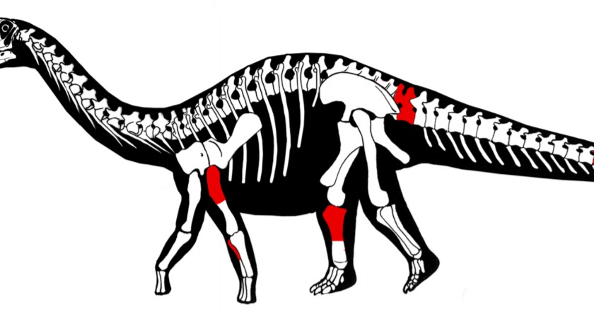 Noticias de Paleontologia: Paleontólogo argentino de la Fundación Azara ...