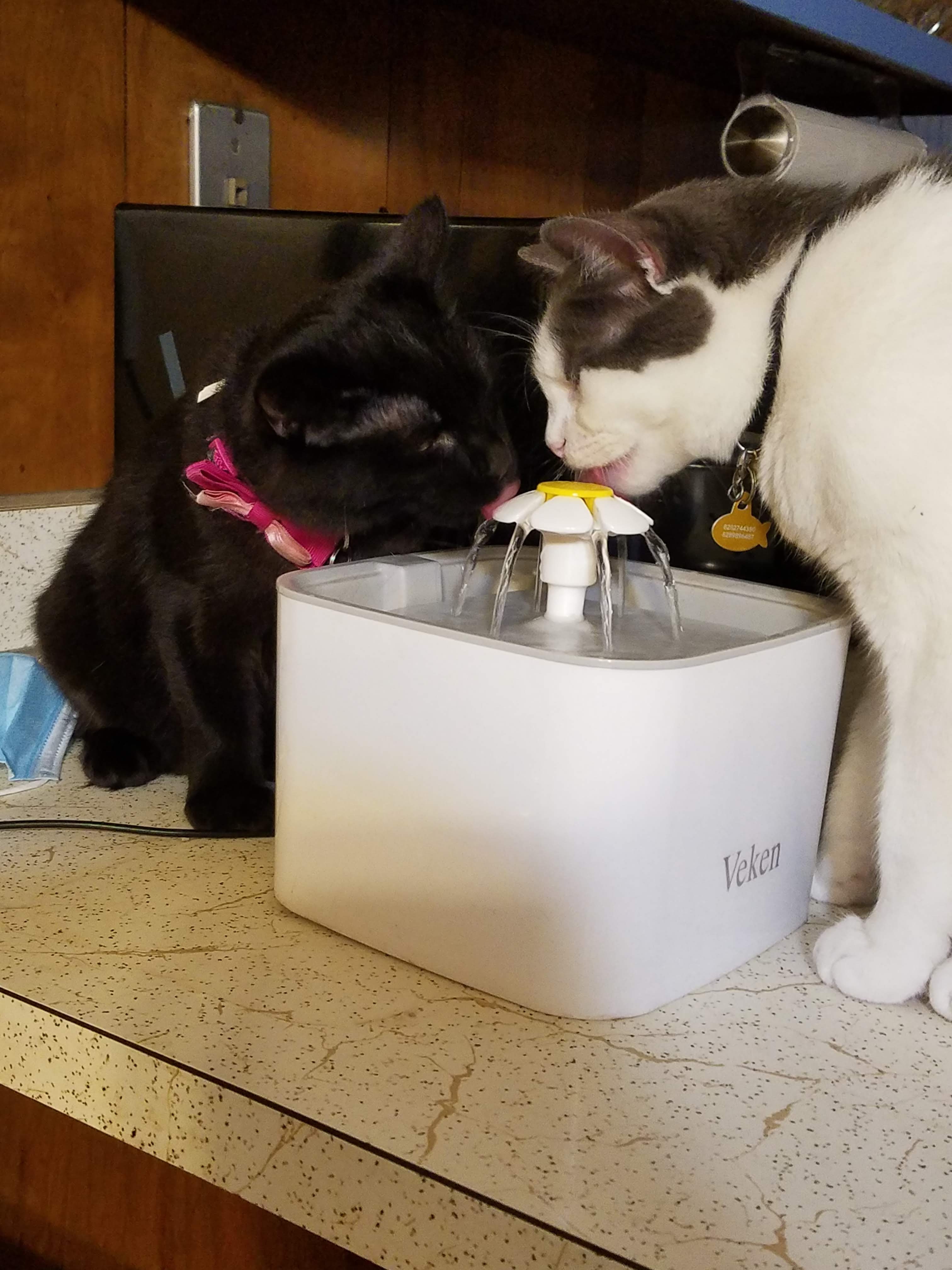 A Blessed Homeschool Life: Welcome, Cooler Weather