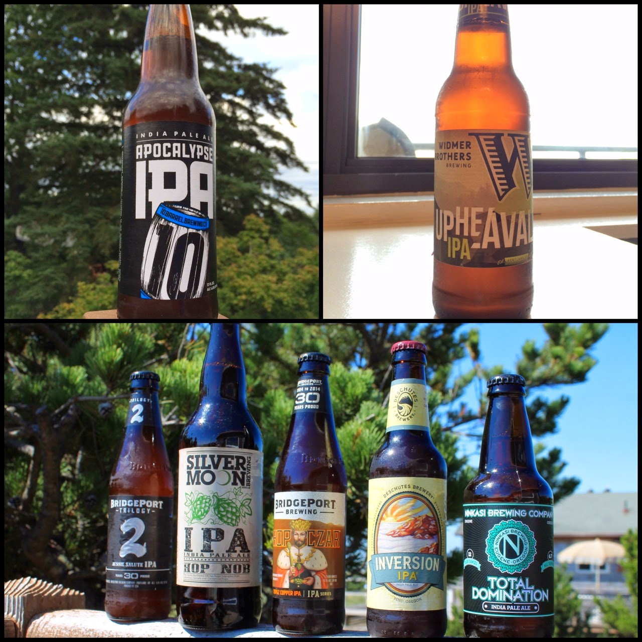 Cook In / Dine Out: Tasting of Oregon IPAs, 2014