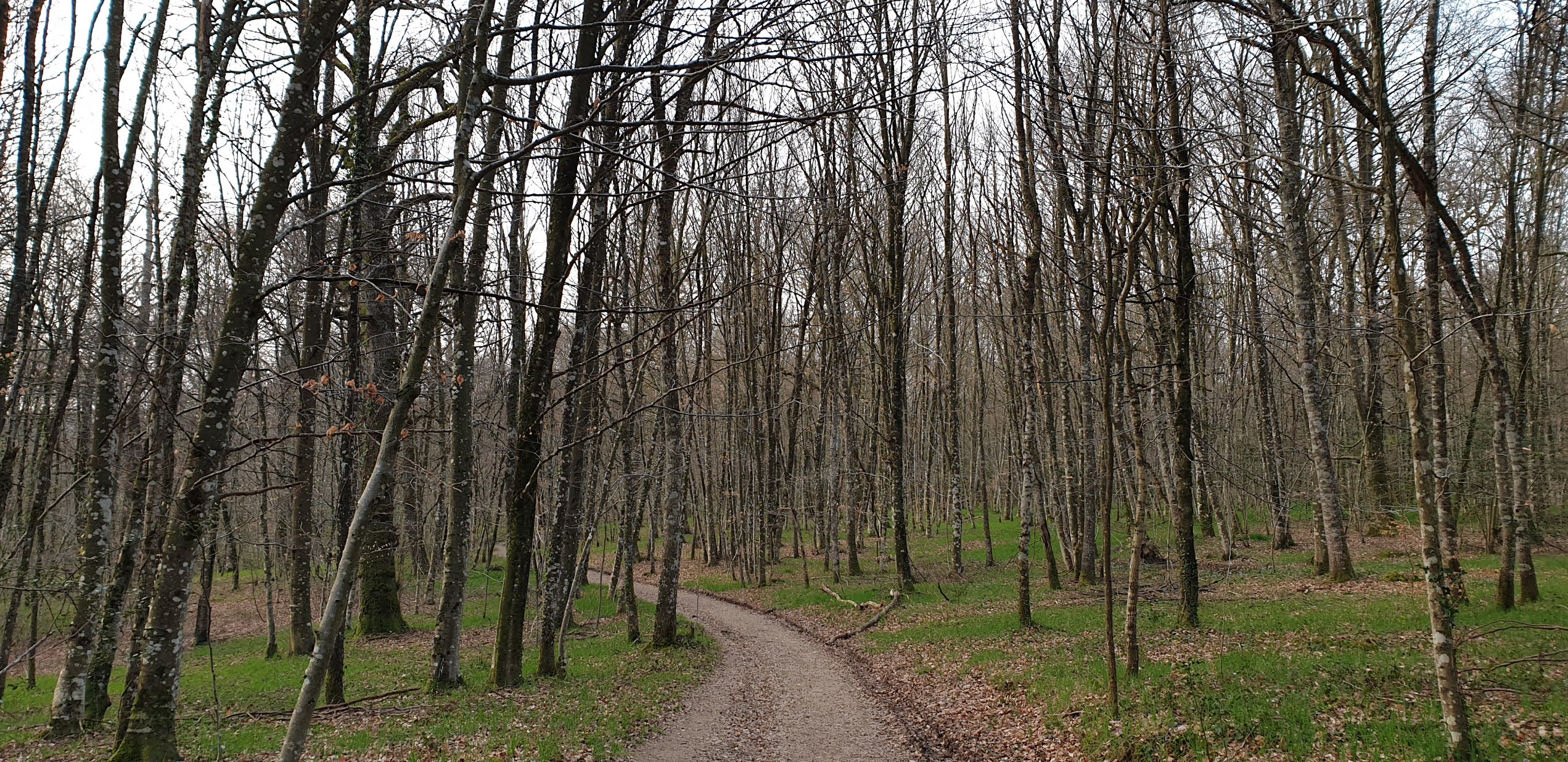 Euskal Herria mendiz mendi: ESTUÑAGAN - ALTO DEL CORRAL (841M ...