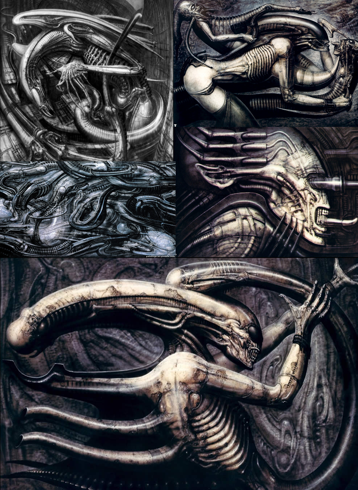 Honours Blog: The Creation of the Xenomorph