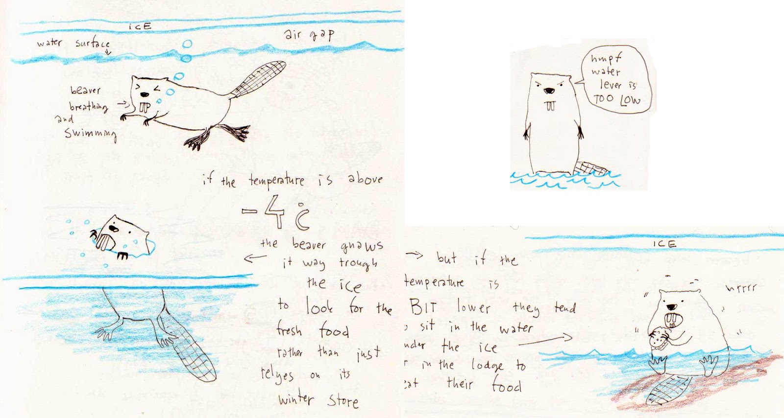 I hate butterflies: March 2011