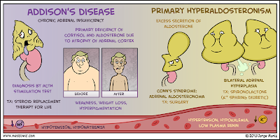 medical: Addison Disease