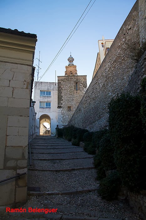 BICHOS Y MAS VLC: DE PASEO POR ONTENIENTE (I)