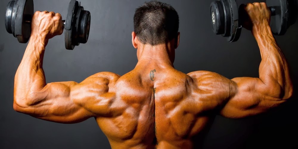 Treinamento de força para atletas - Muito Mais Ação Jiu Jitsu