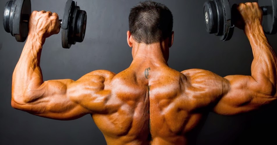 homemcorpus: 9 Passos para desenvolver um treinamento de força muscular