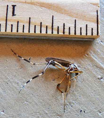 Retired--Now What?: August 2013