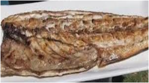 In en om die huis: Vis braai