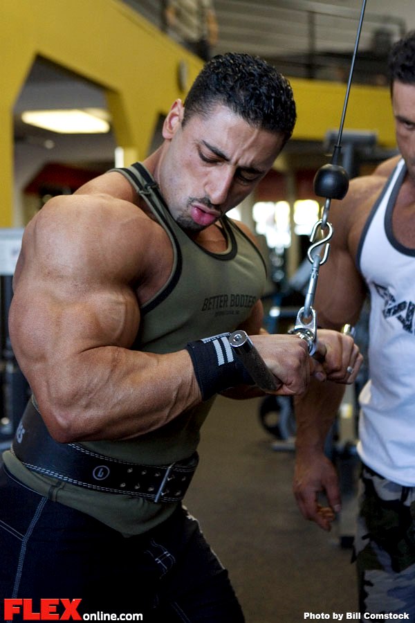 Knights of Bodybuilding: AHMAD AHMAD