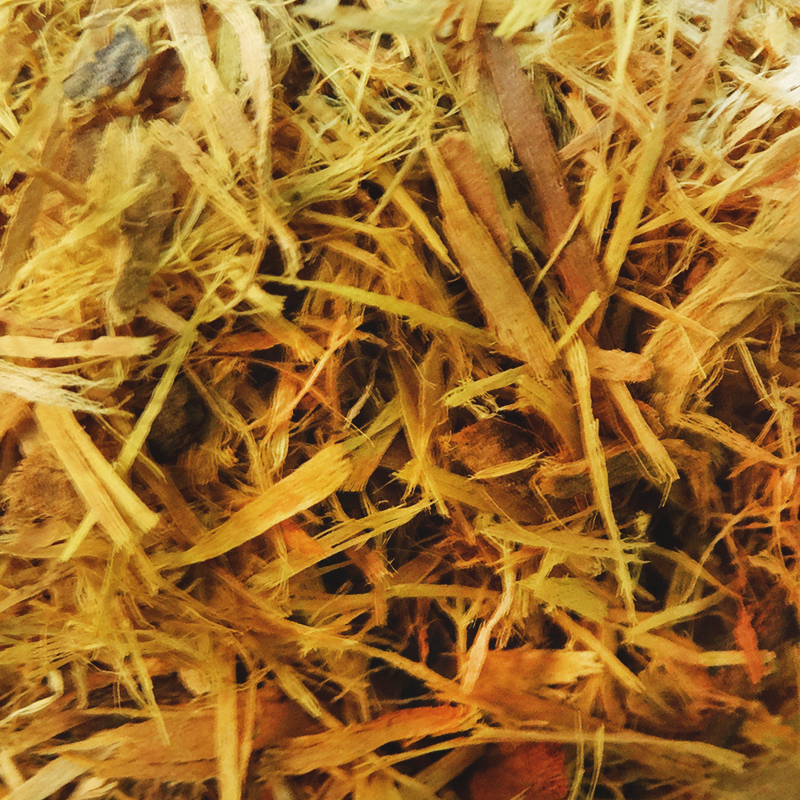 MARCOS MAURICIO: DR EMBIRA