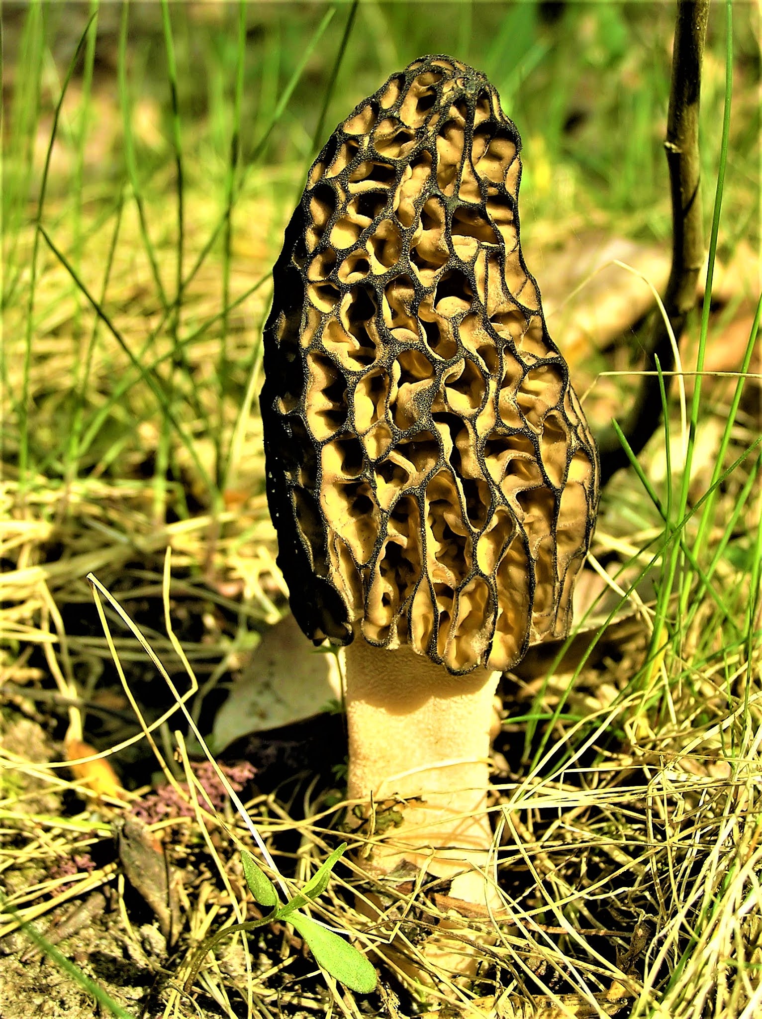 Incursiune prin flora si fauna zonei