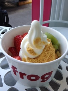 Fro-Yo Girl Speaks: Los Angeles Fro-yo: Frog Frozen Yogurt Bar